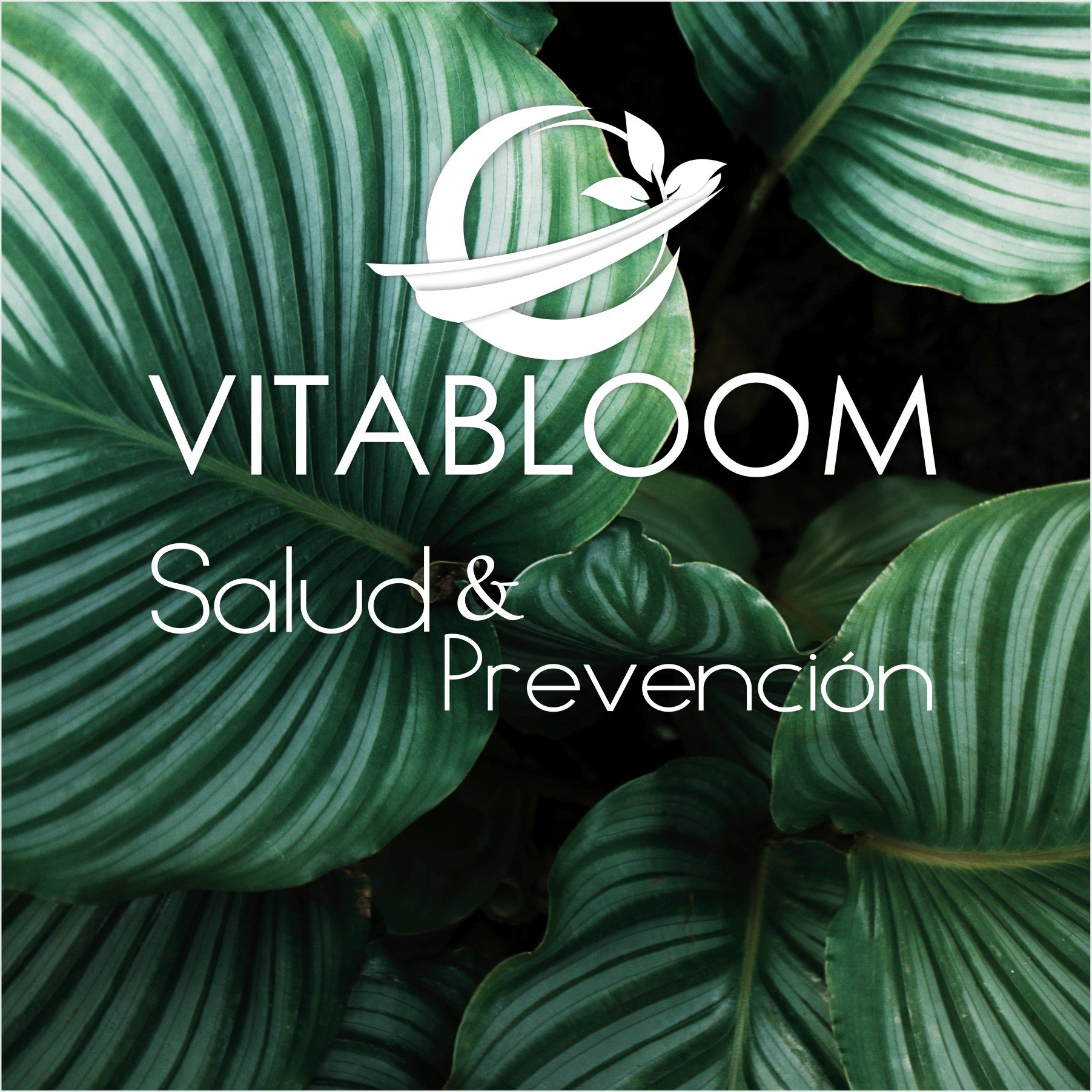 Tienda - Vitabloom