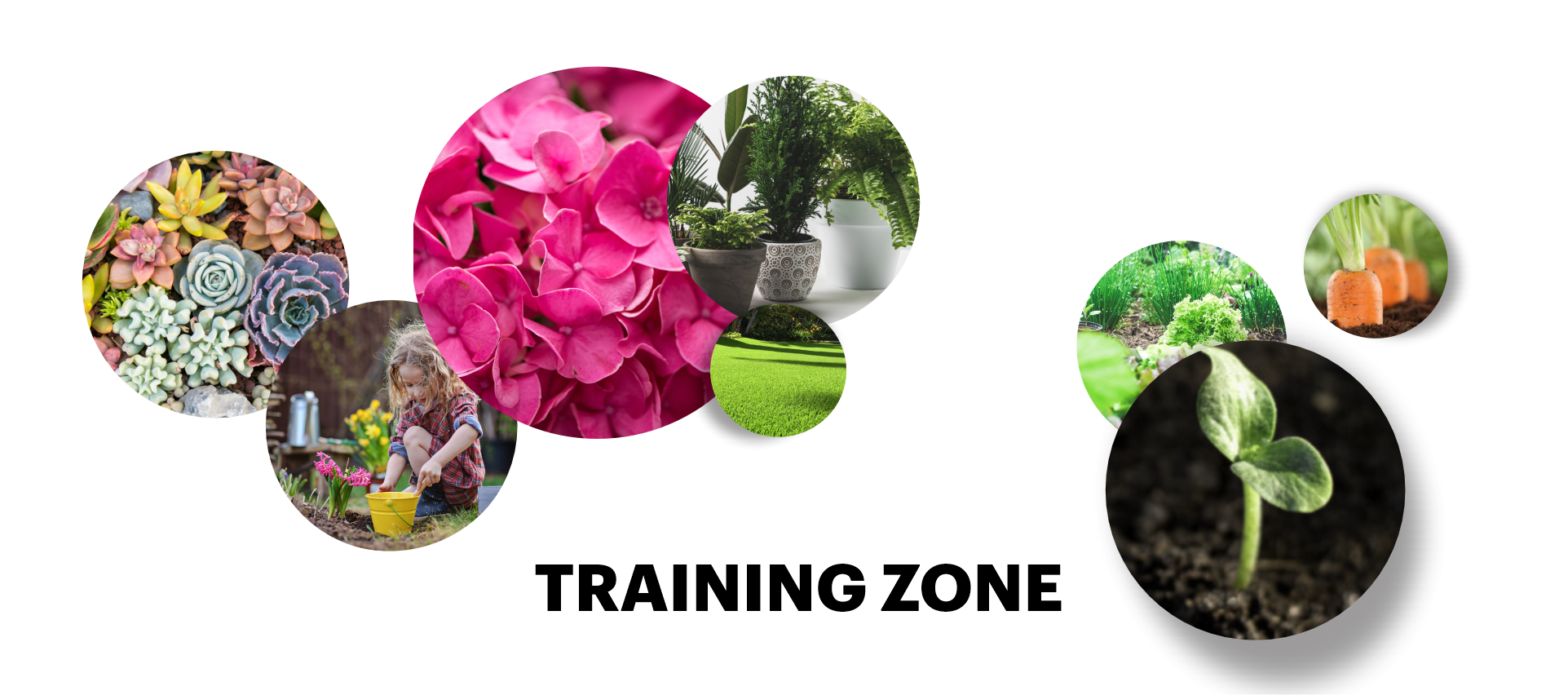 Cursos – Vitabloom